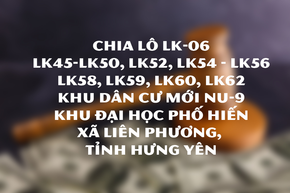 Chia lô LK-06 - Từ LK45 đến LK50, LK52, từ LK54 đến LK56; LK58, LK59, LK60, LK62 - Lạc Việt Auction